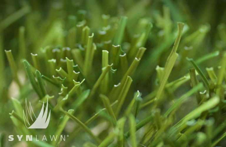 Introducing SYNAugustine 347 — New Cutting-Edge Technology | SYNLawn