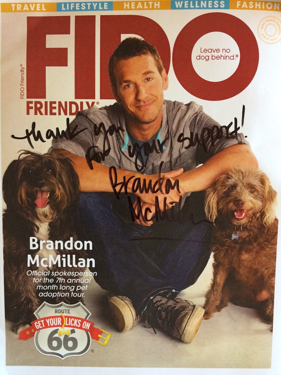 Successful Month-Long Pet Adoption Tour a Life Saver | SYNLawn