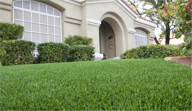 Sustainability | SYNLawn