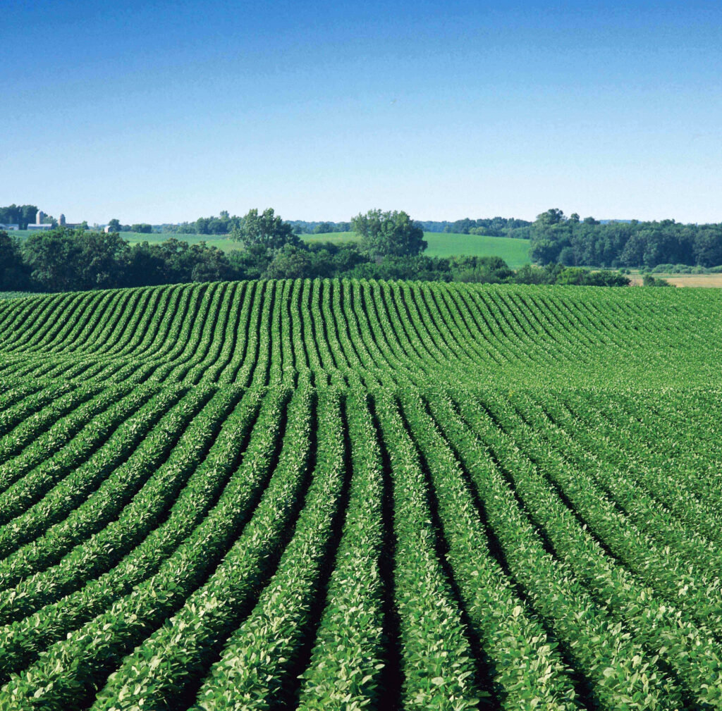 Leading the Way in Turf Sustainability with PCR - SYNLawn